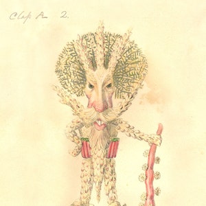 Charles Briton: Coral Polyp "missing Links" Carnival Costume From Mardi ...
