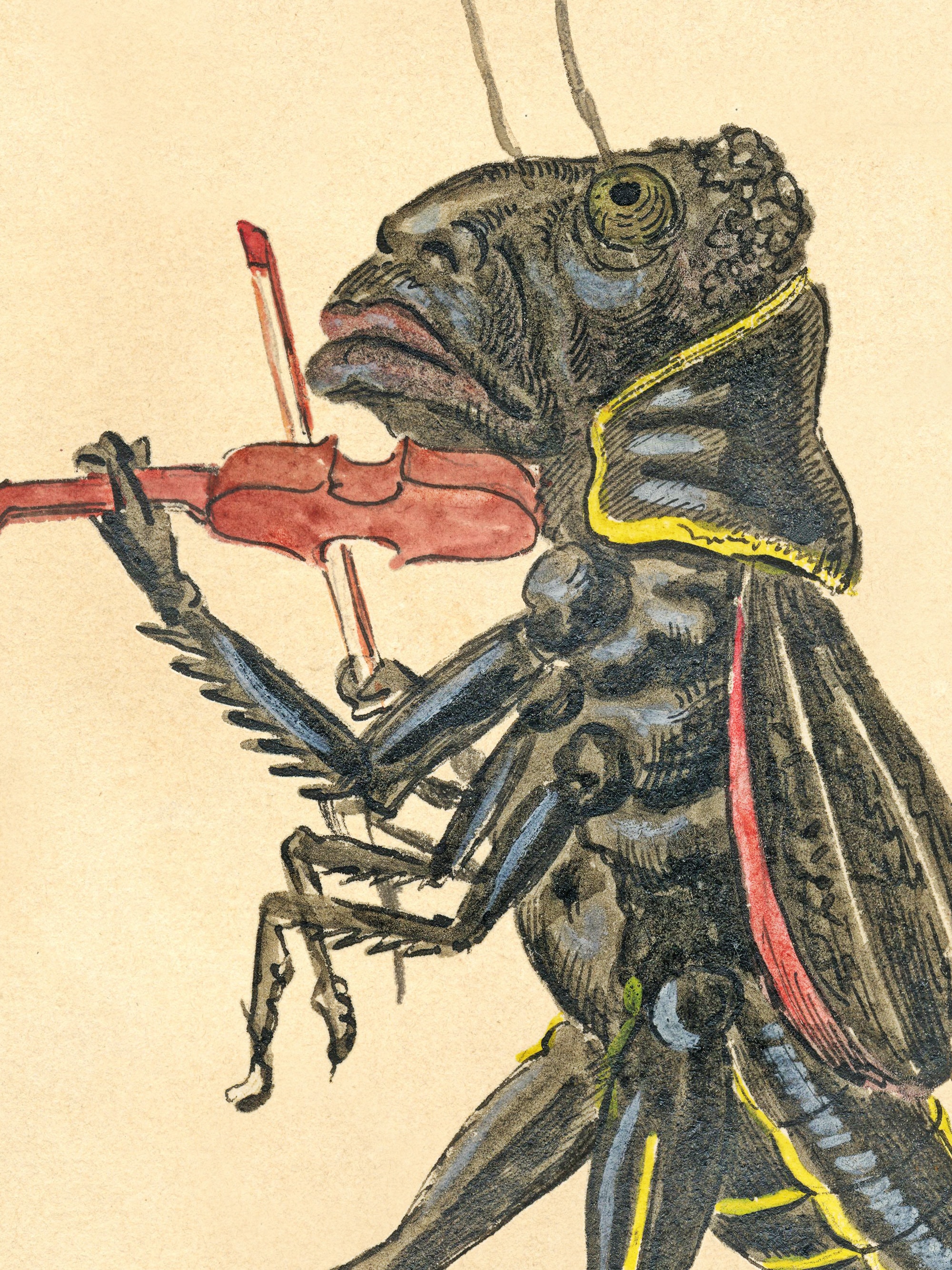 Charles Briton: Grasshopper Playing the Fiddle 1873 - Etsy