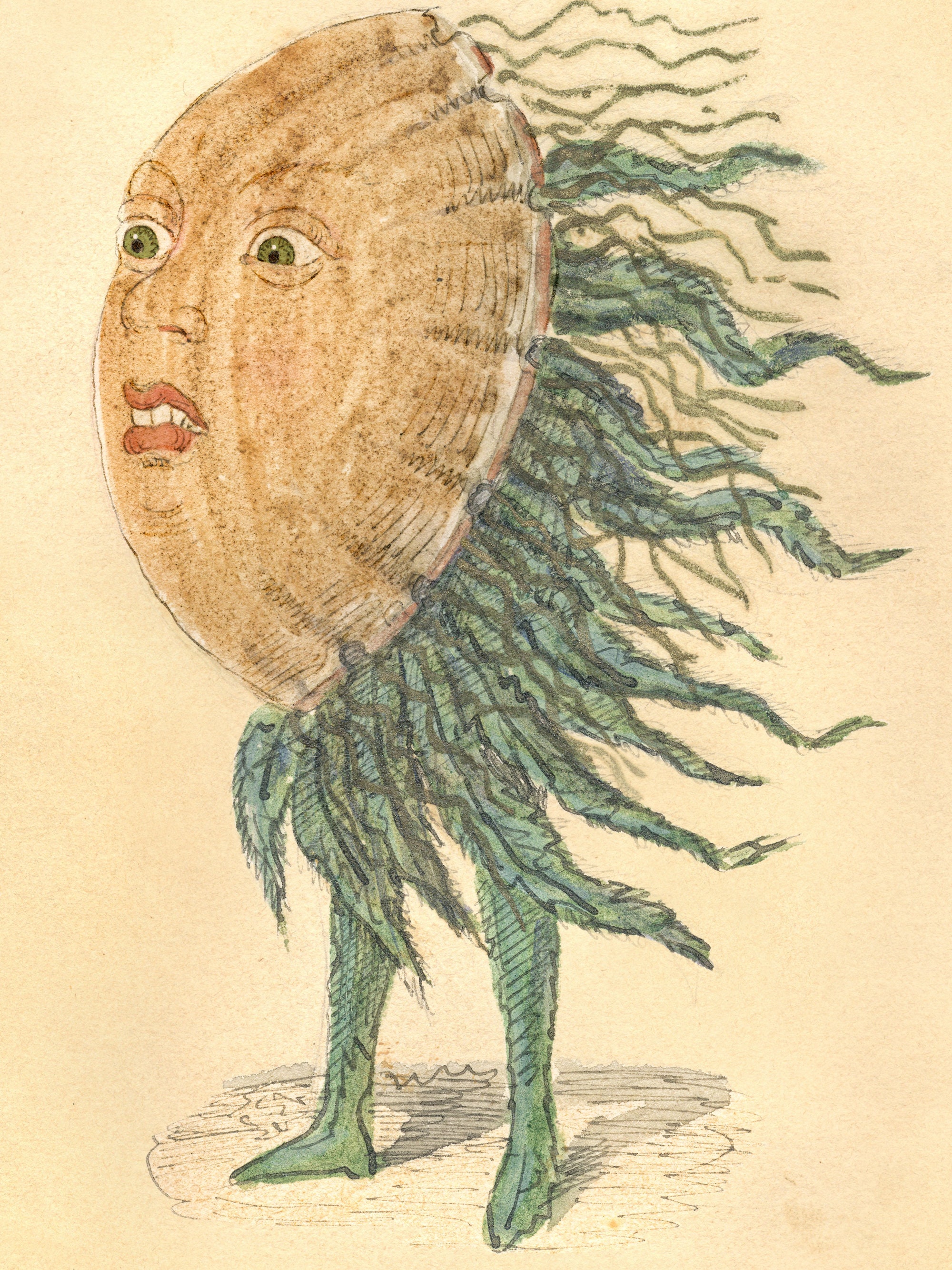 Charles Briton: Medusa Polyp "missing Links" Carnival Costume From ...