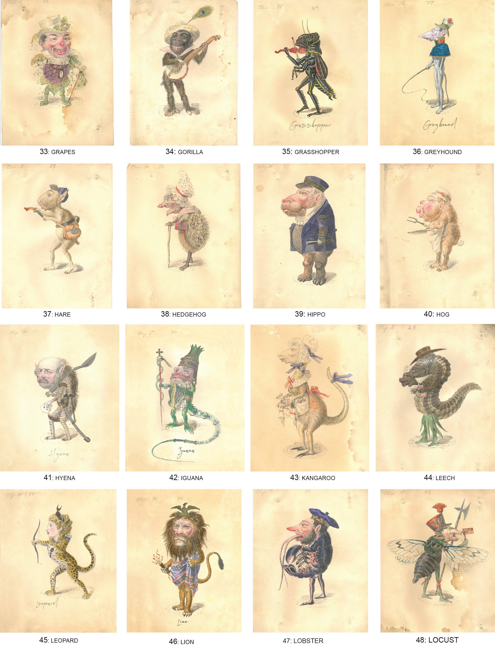 Charles Briton: Medusa Polyp "missing Links" Carnival Costume From ...