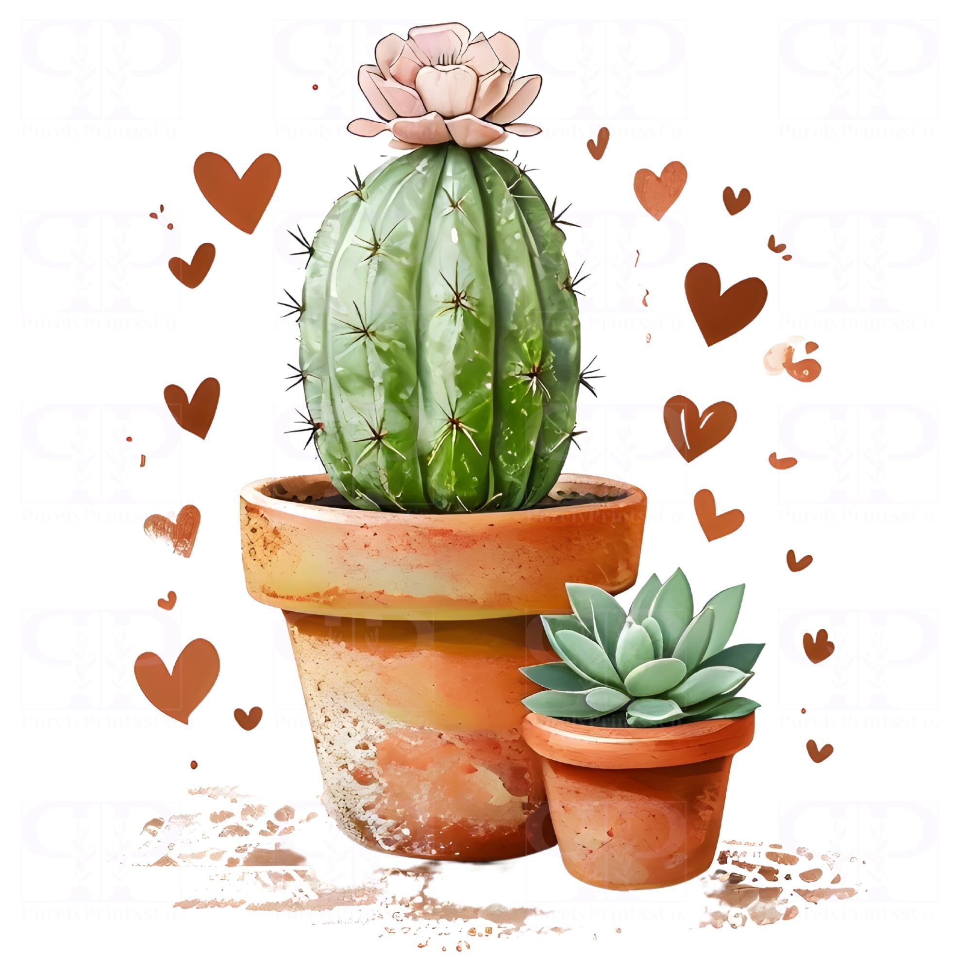 Watercolor Cactus Clipart Bundle: Succulent PNG Images (digital ...