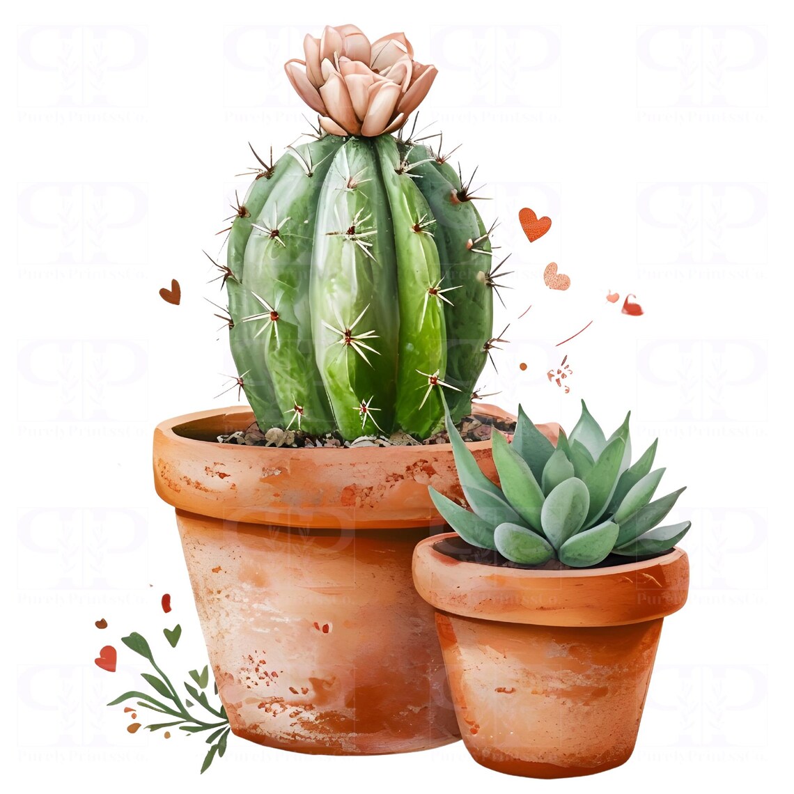 Watercolor Cactus Clipart Bundle: Succulent PNG Images (digital ...