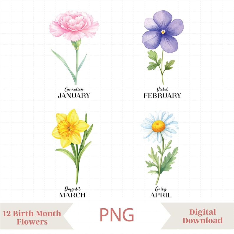 12 Watercolor Birth Month Flower PNG Bundle, Digital Floral Clipart Set ...