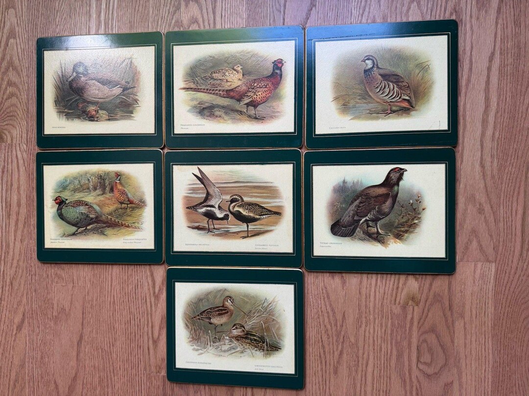 Lady Clare Bird Identification Placemats Coasters Perfect for Hunting ...