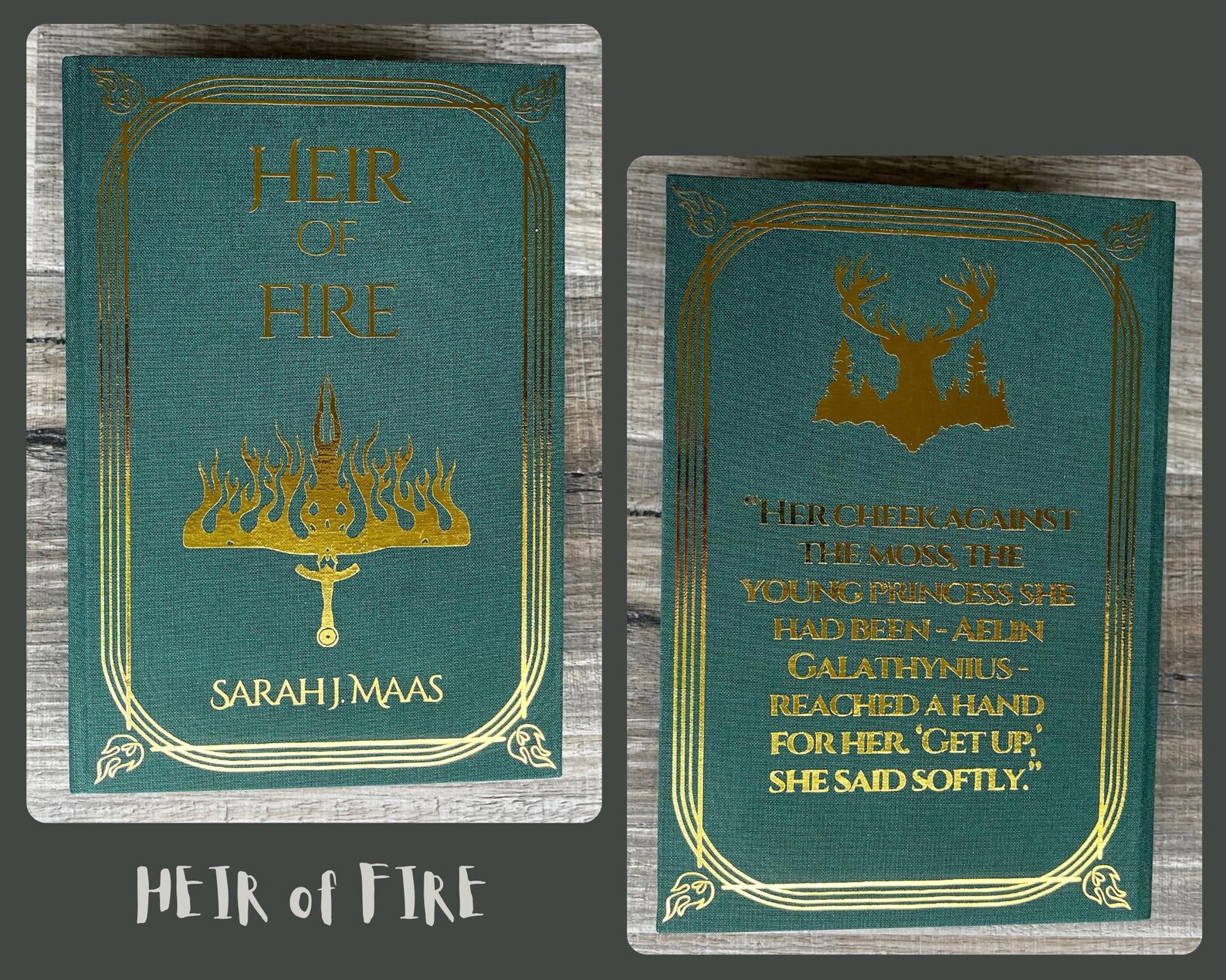 Rebound Throne of Glass Book Series Set // RARE, Special Edition, One ...