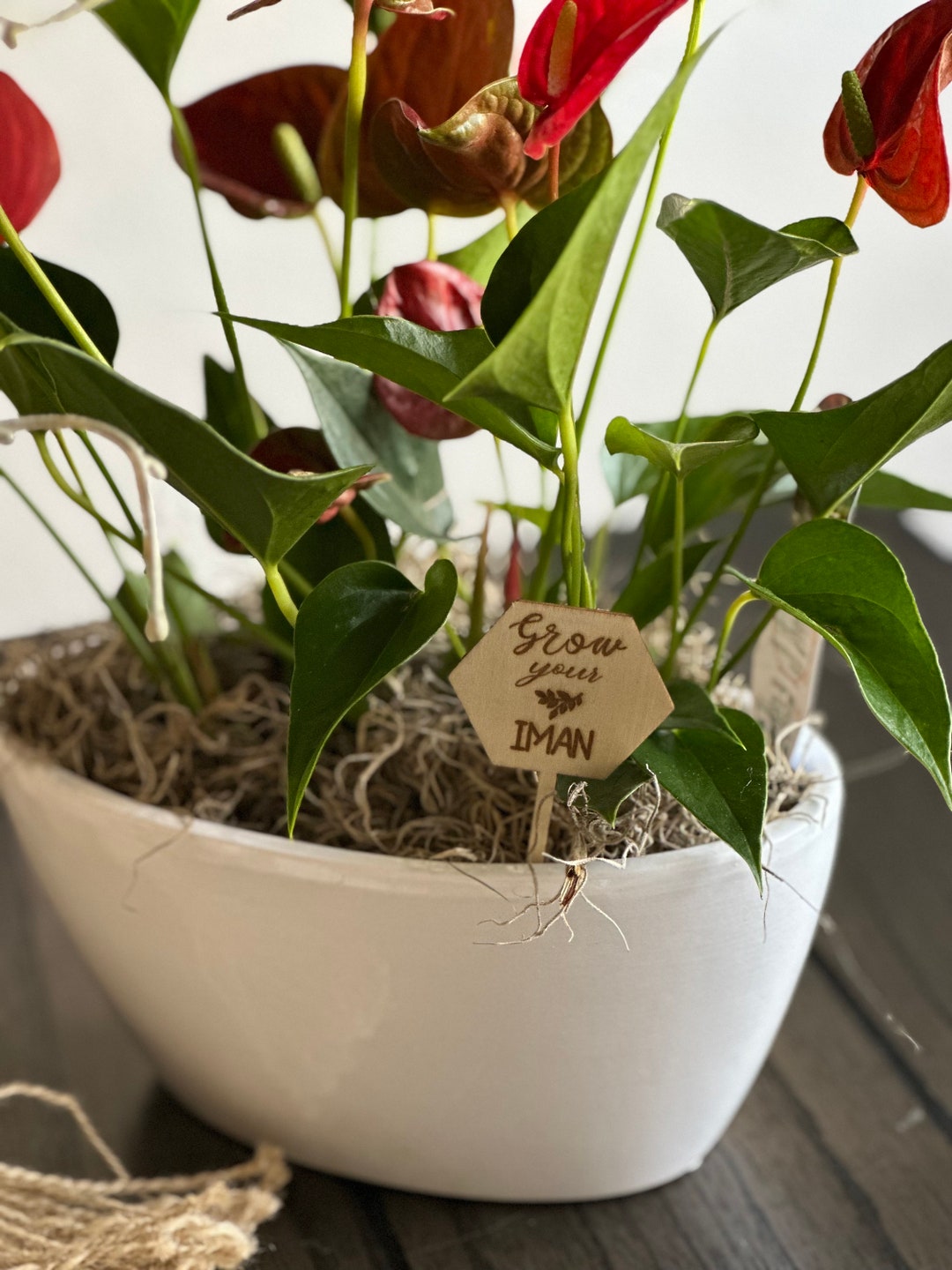 Plant Tags, Eid Gift Tags, Ramadan Decor, Flower Gift Tag, Grow Your ...