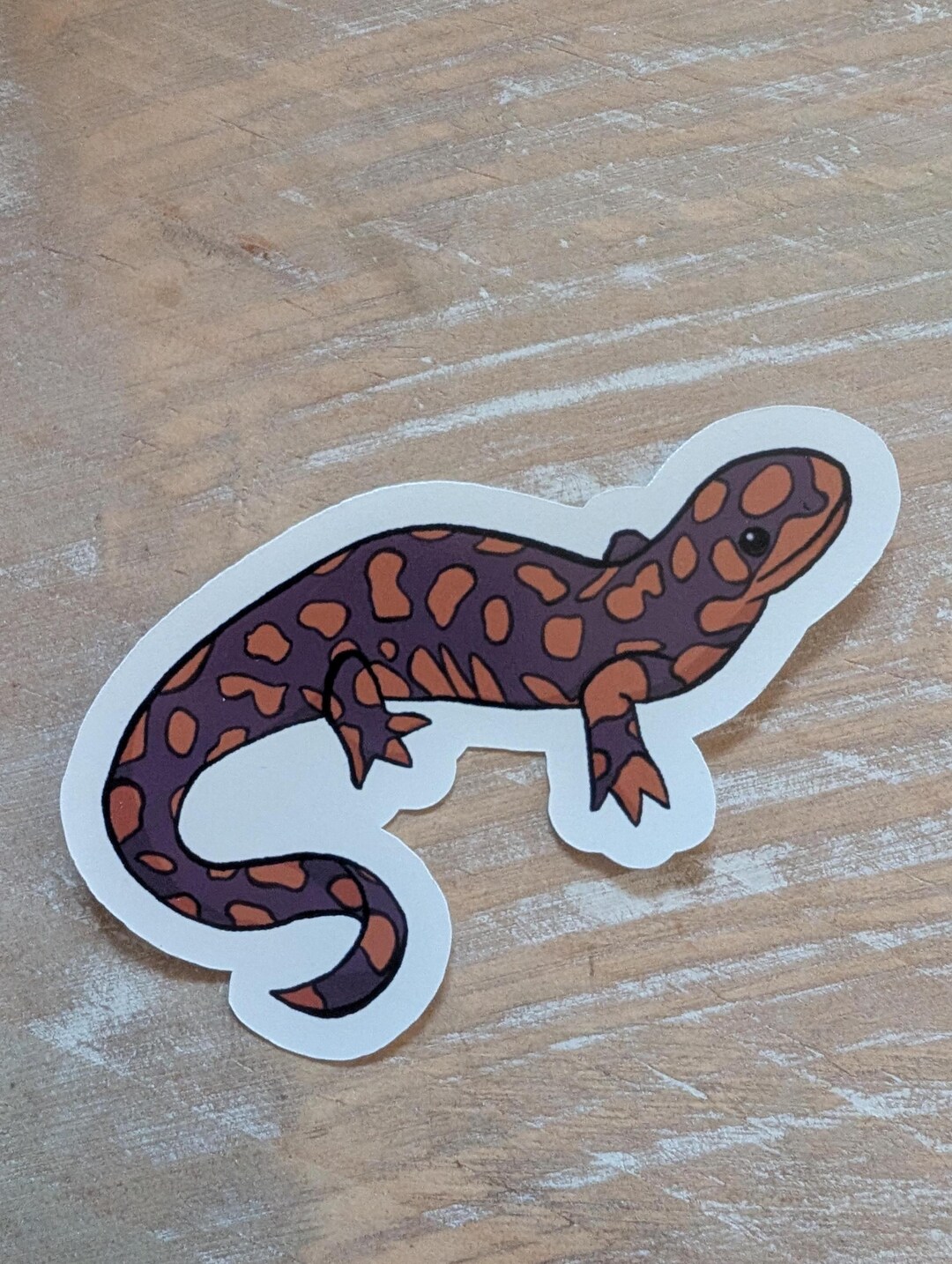 Western Tiger Salamander Sticker - Etsy