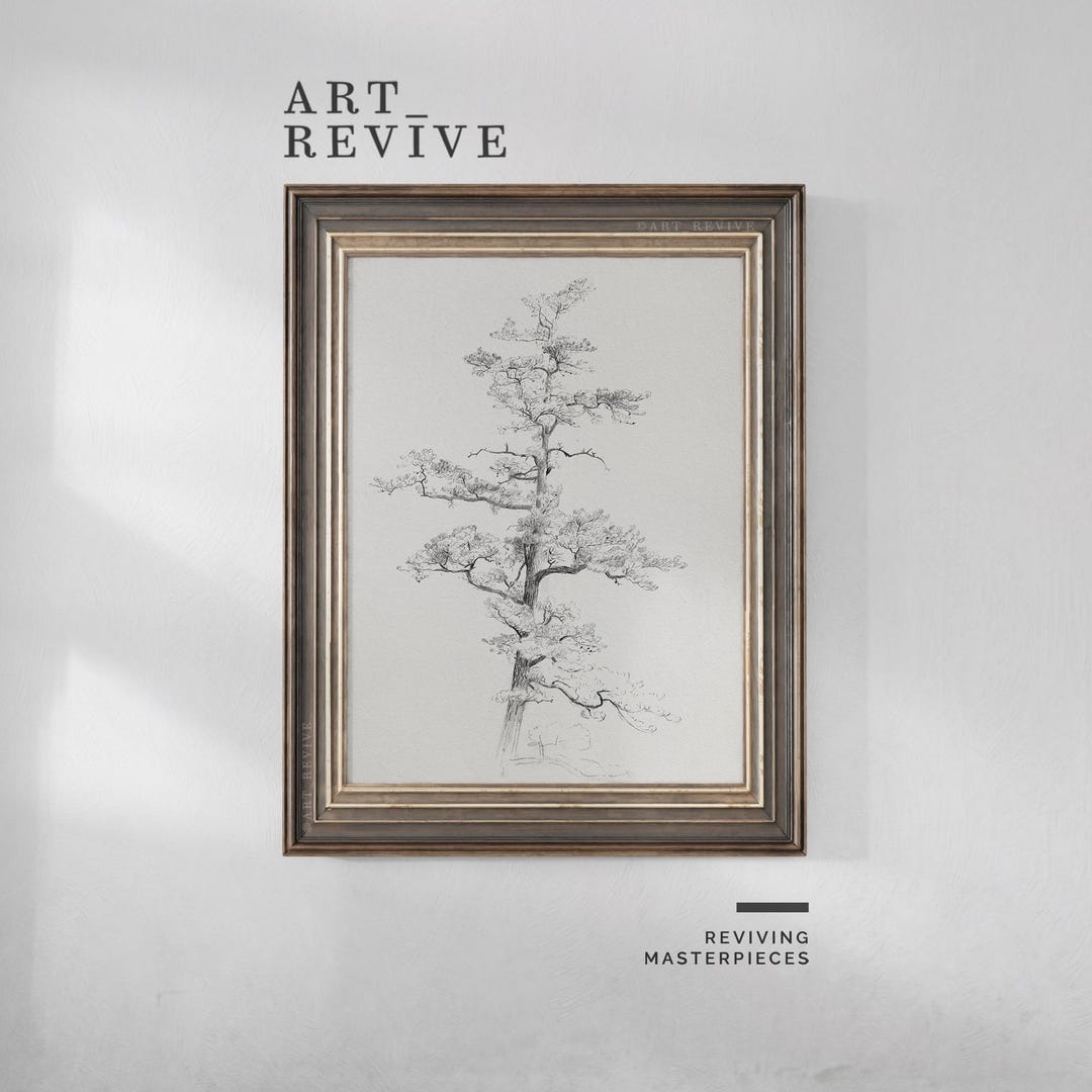 Neutral Antique Pine Tree Drawing | Vintage Sketch Art | Soft Wall ...