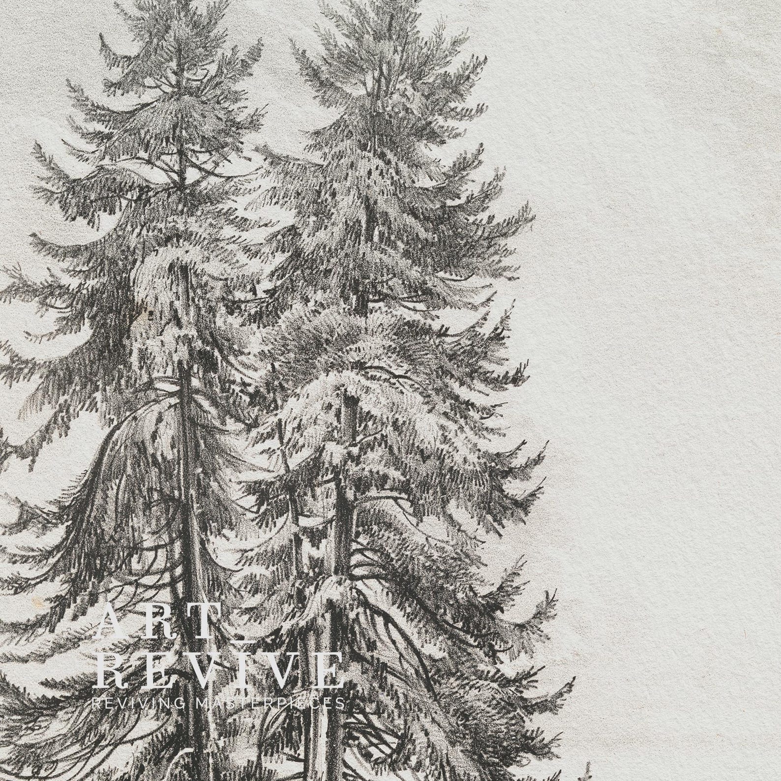Evergreen Tree Drawing | PRINTABLE | Pencil Sketch | Vintage Landscape ...
