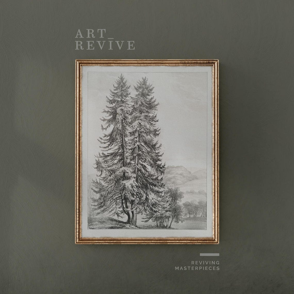 Evergreen Tree Drawing | PRINTABLE | Pencil Sketch | Vintage Landscape ...
