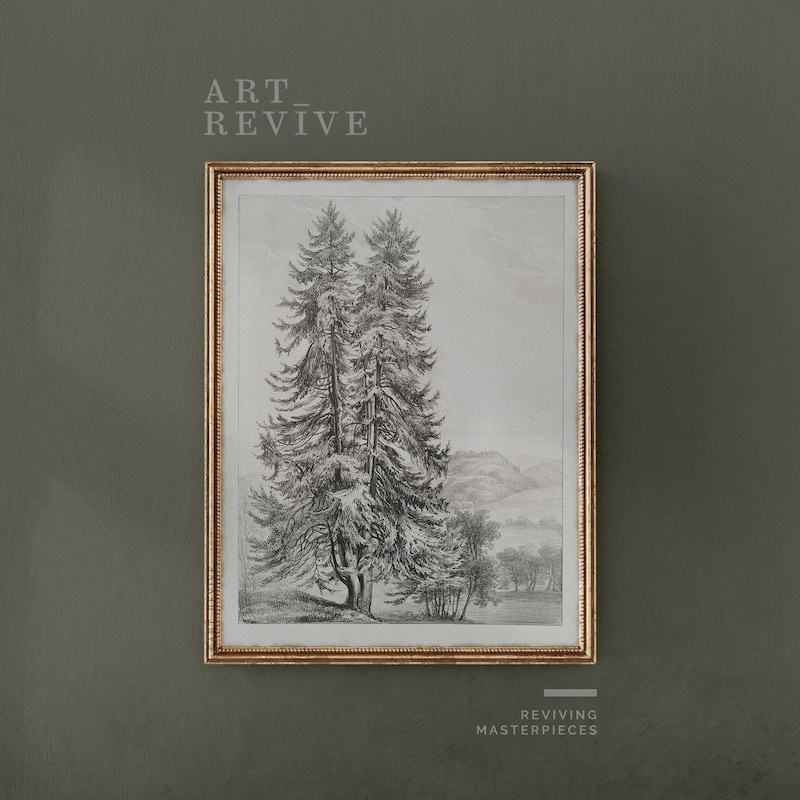 Natural Pencil Drawing - Etsy