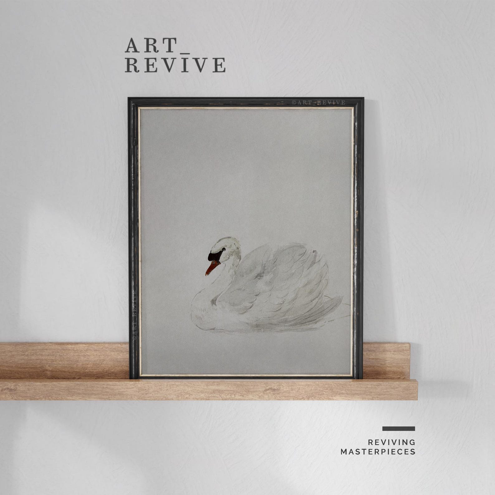 White Swan Watercolor Painting | PRINTABLE | Bird Illustration ...