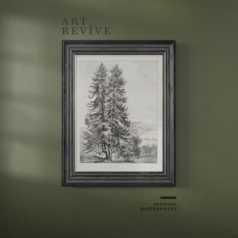 Evergreen Tree Drawing | PRINTABLE | Pencil Sketch | Vintage Landscape ...