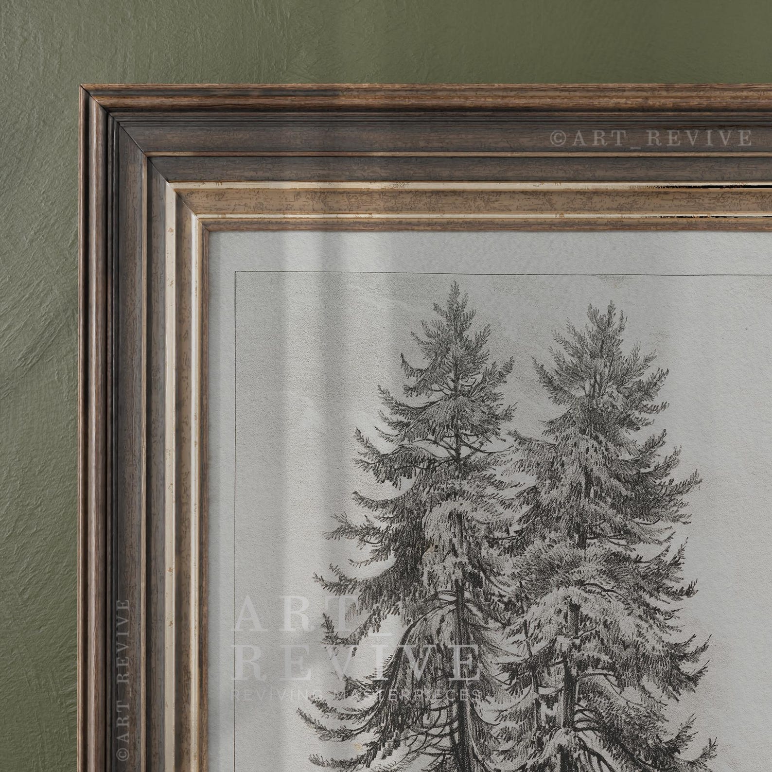 Evergreen Tree Drawing | PRINTABLE | Pencil Sketch | Vintage Landscape ...
