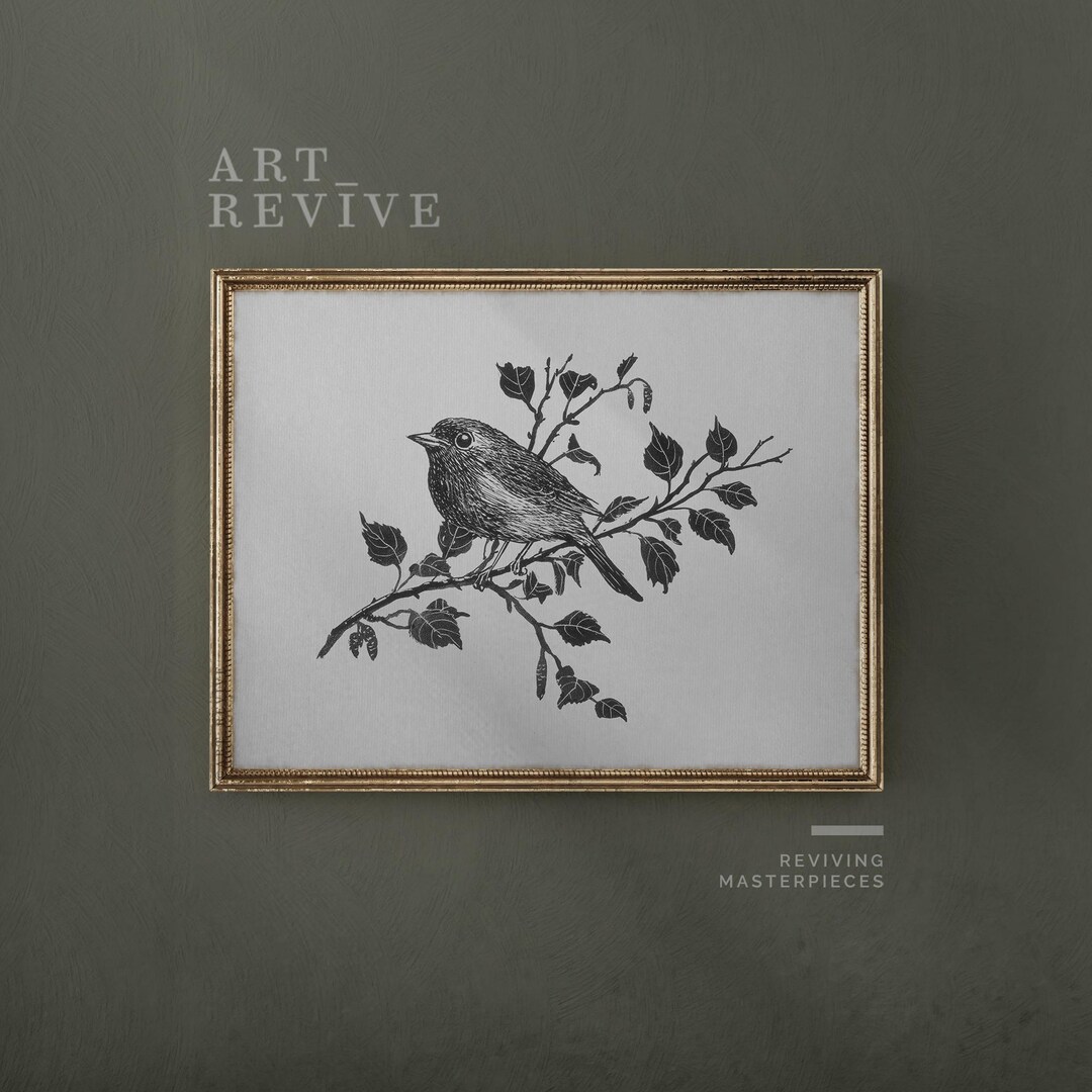 Small Songbird Print | Digital DOWNLOAD | Bird Illustration | Ink ...