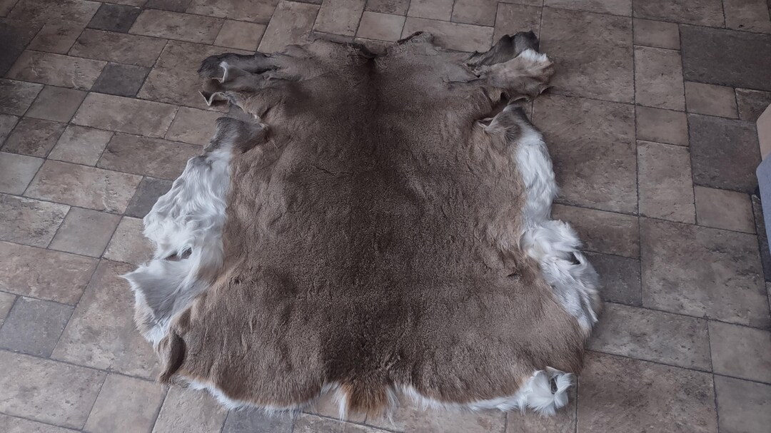 Natural Tanned Whitetail Deer Hide Buckskin Hair - Etsy