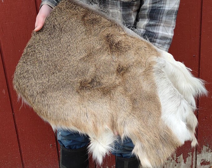 Whitetail Deer Hide Piece Back Left Hind Quarter Section Tanned - Etsy