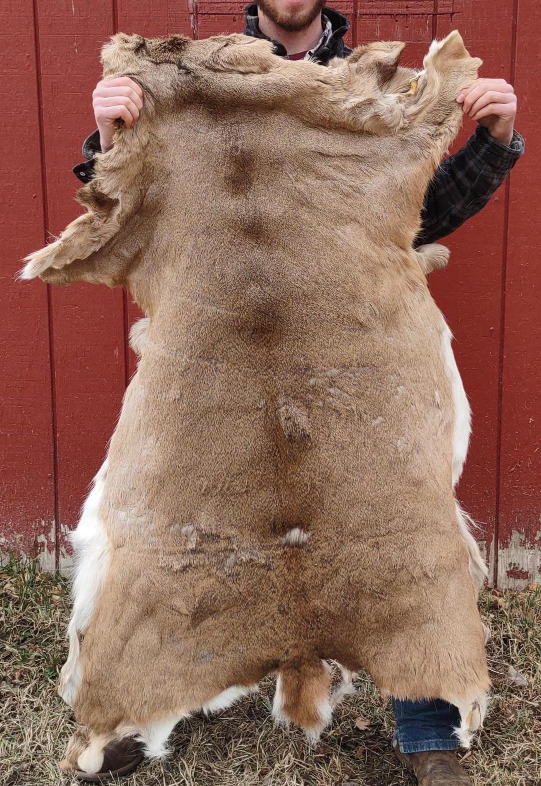 Whitetail Deer Hide Hair-on Tanned Leather Soft - Etsy