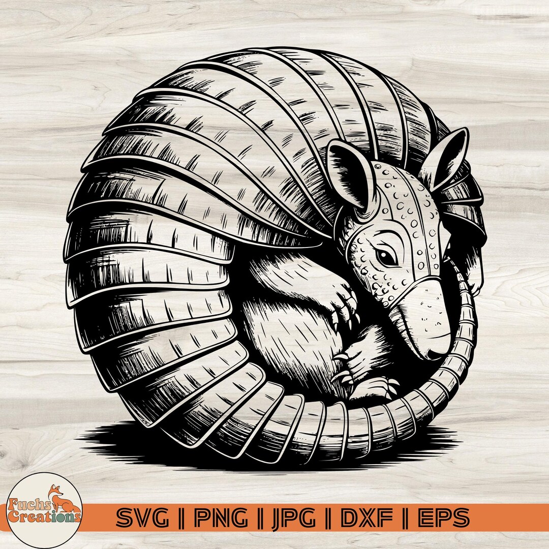Armadillo SVG, Armadillo Png, Animal Illustration Tshirt, Wildlife ...