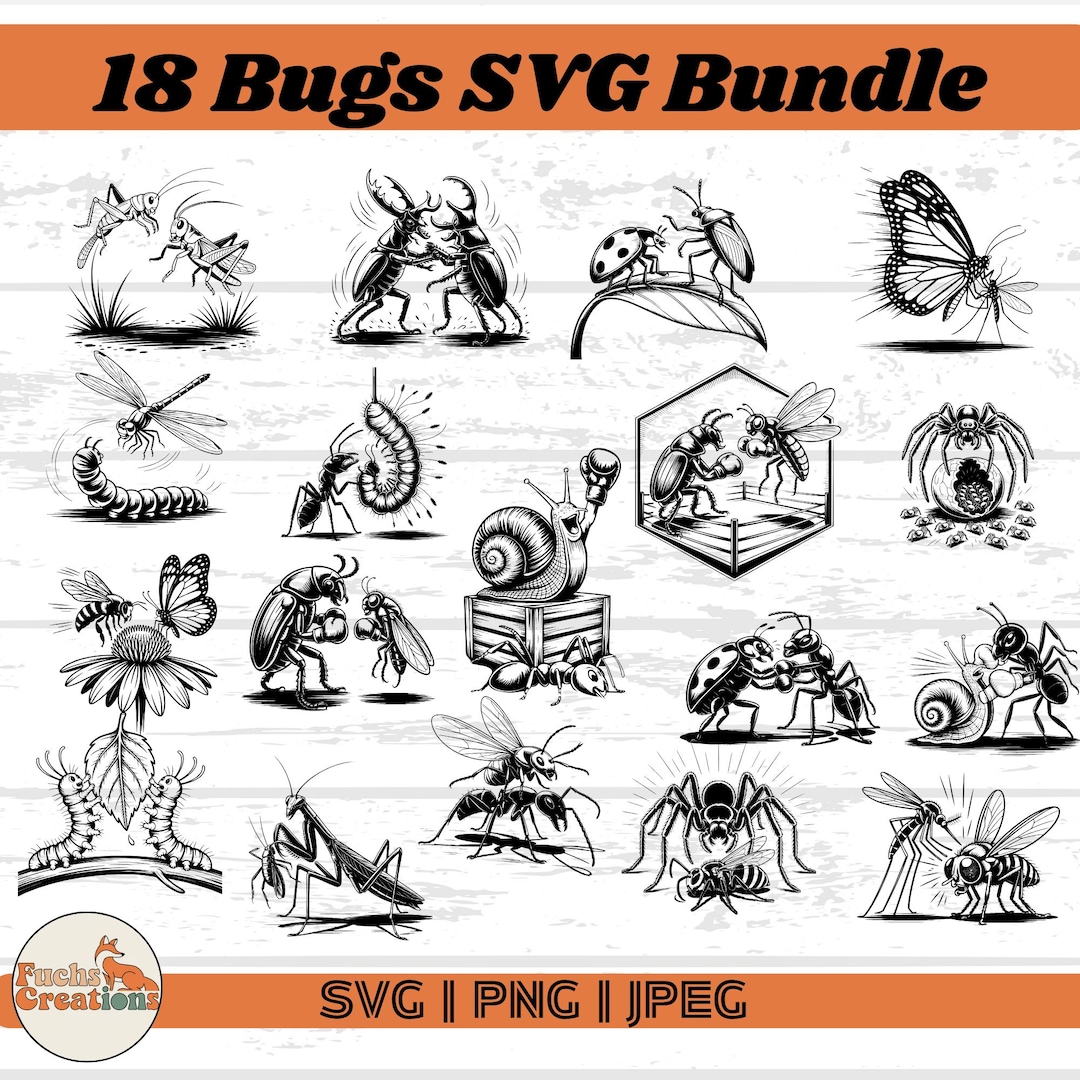 Bug SVG Bundle: Insect Clipart, Beetle, Bee, Ant, Spider (digital ...