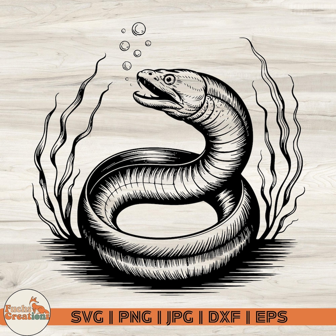 Moray Eel Line Art SVG: Ocean Creature Clipart - Etsy