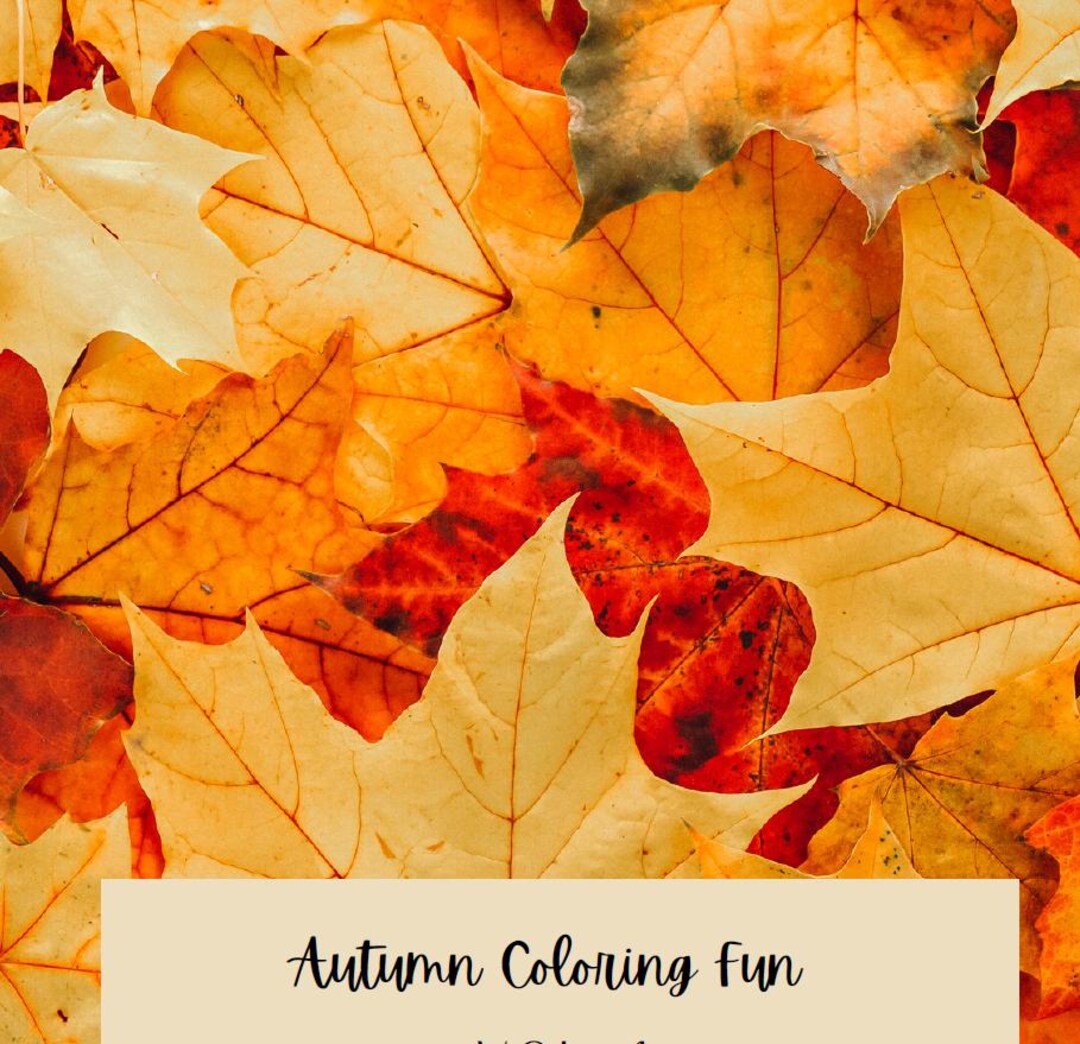 Autumn Coloring Book, Fall Art Activity (printable) - Etsy
