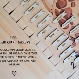 Zebra Growth Chart, Personalized Growth, Baby Nursery Decor, Measuring ...