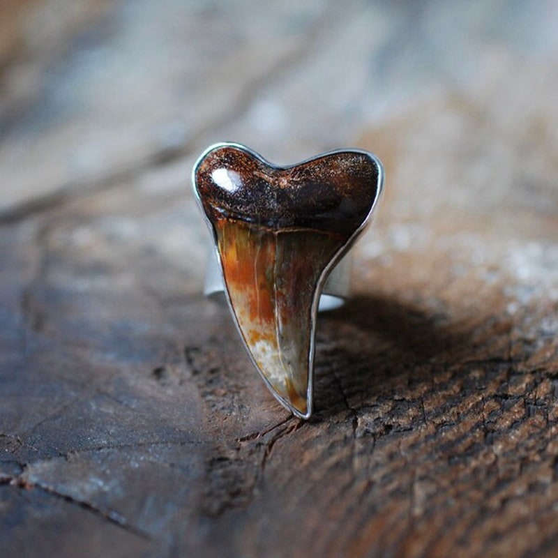 Tooth Ring - Etsy
