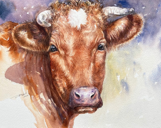 Donkey Portrait Original Watercolor Painting Wall Decor Animal - Etsy