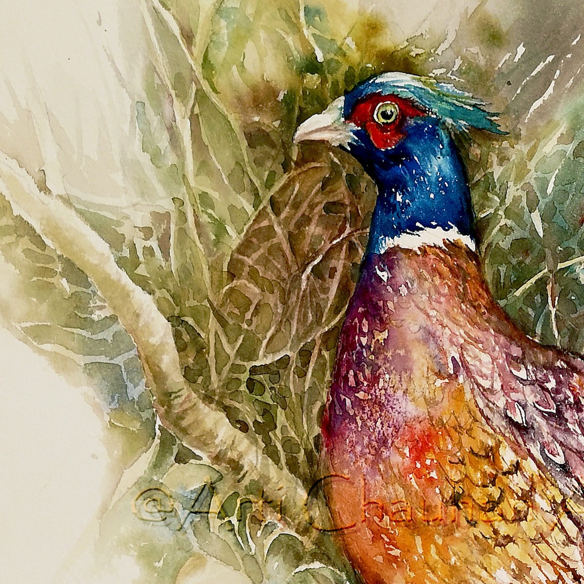 Colorful Pheasant Bird Art Watercolor Painting Original Art | Etsy