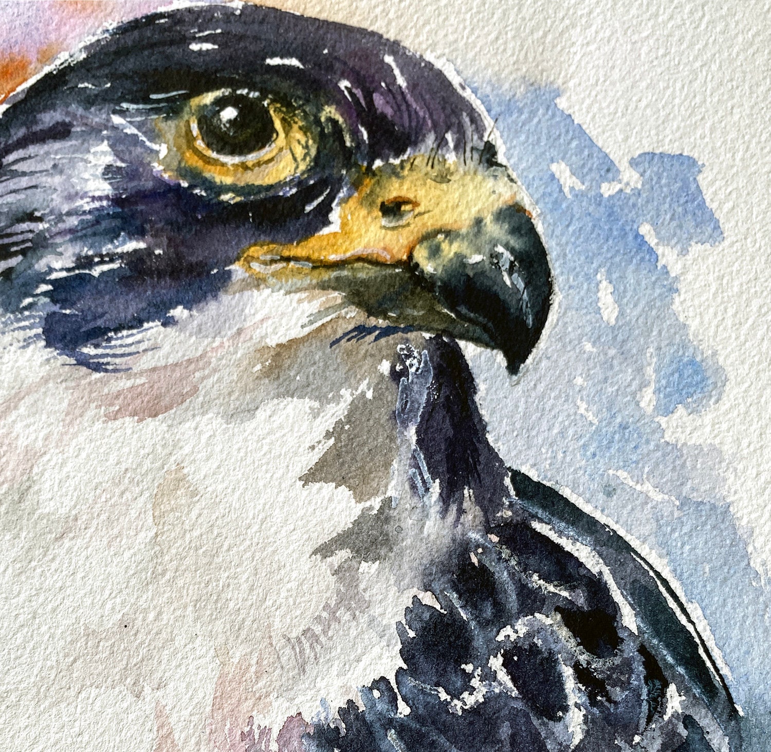 Falcon Original Watercolour Painting Wall Art Wildlife Art - Etsy