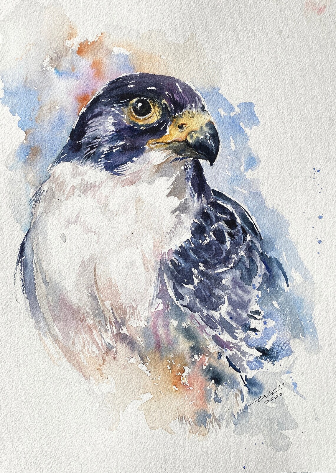 Falcon Original Watercolour Painting Wall Art Wildlife Art - Etsy