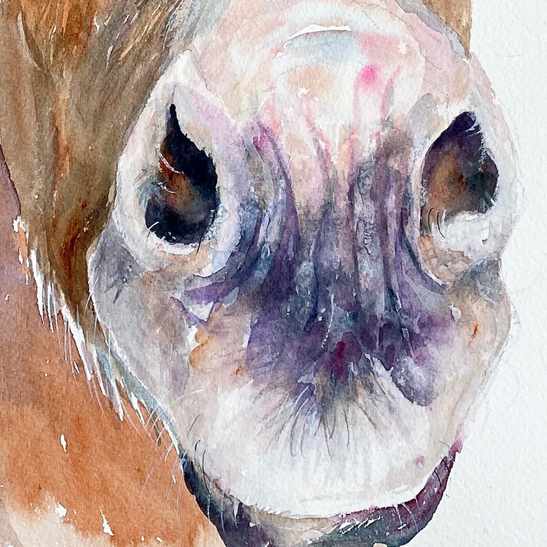 Donkey Portrait Original Watercolor Painting Wall Decor Animal Art - Etsy
