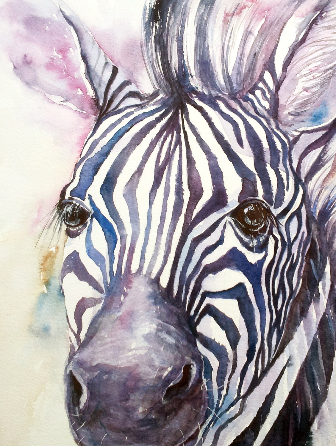 Goofy Zebra