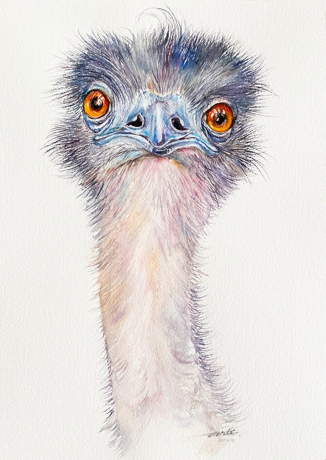 Emu Painting Original Art Watercolor Australia Bird Art - Etsy