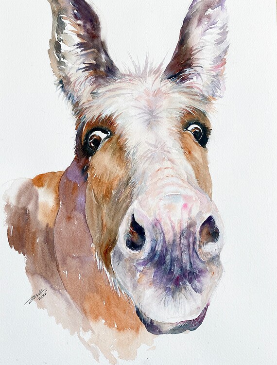 Donkey Portrait Original Watercolor Painting Wall Decor Animal - Etsy
