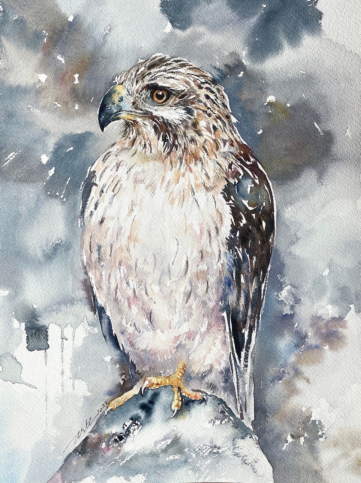 Hawk Painting Watercolor