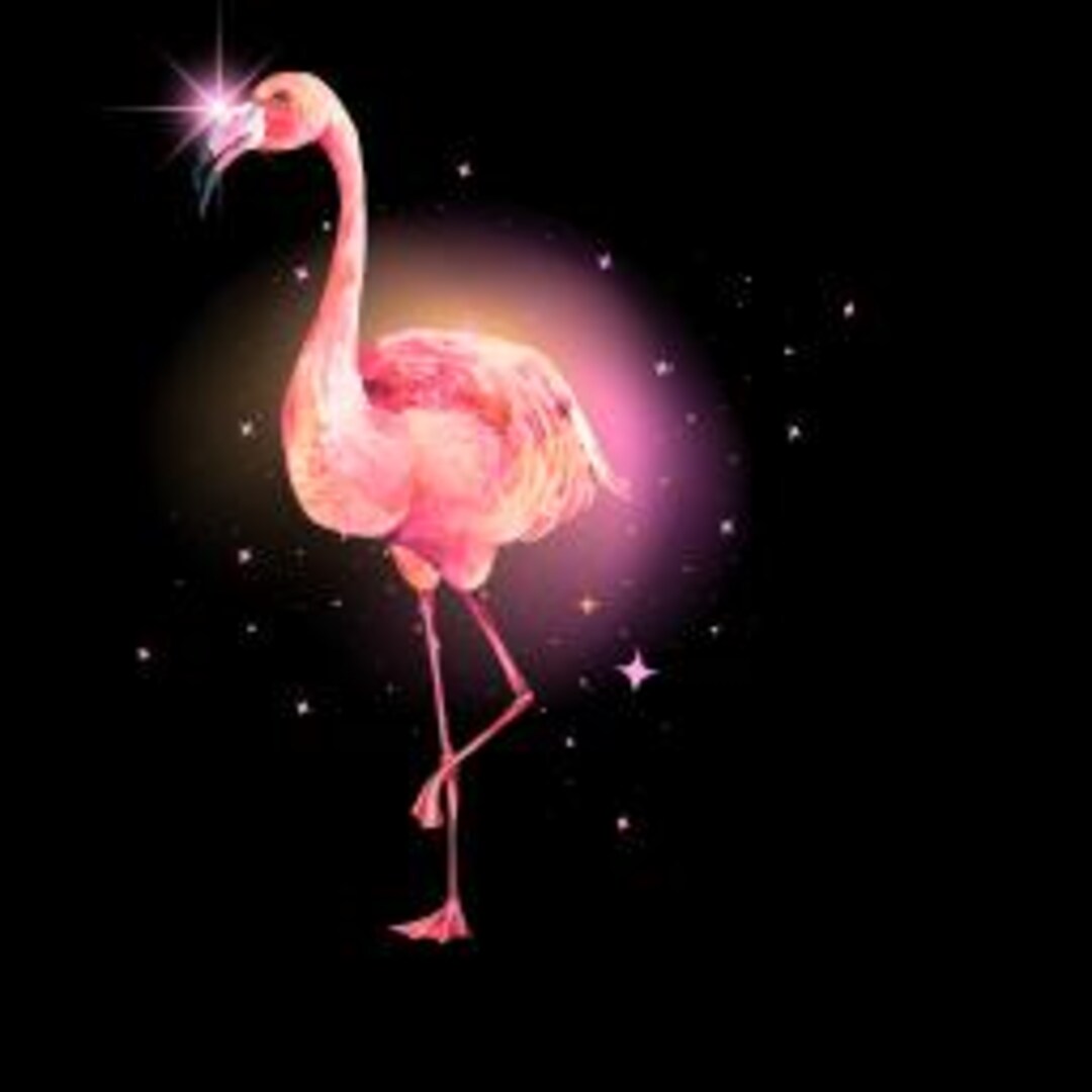 Flamingo Bundle Custom PC Cursors/ Digital Art PC Pointers/ Download 3 ...