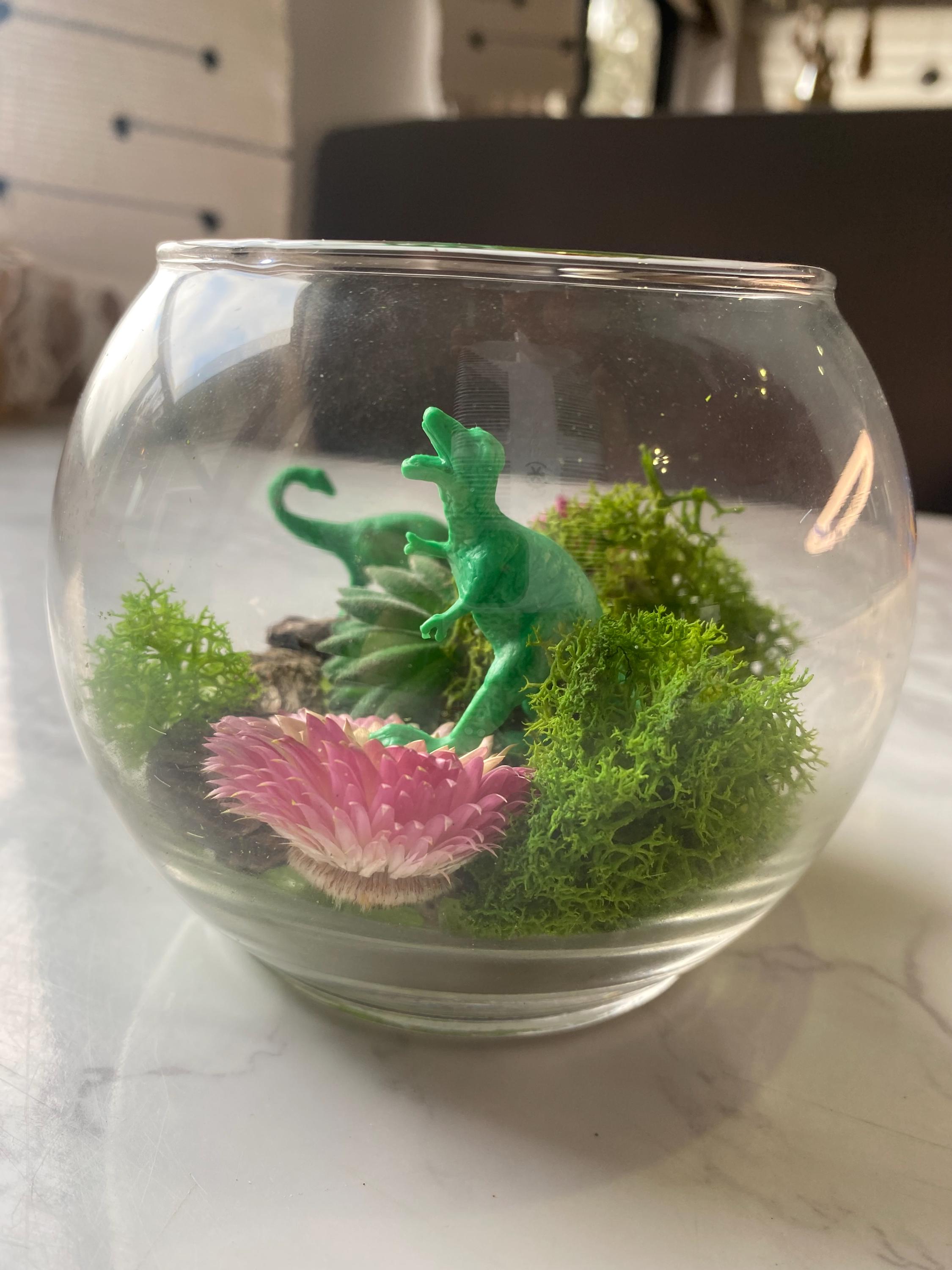 DIY Terrarium Kit for Kids - Fun Educational Craft Activity Christmas ...