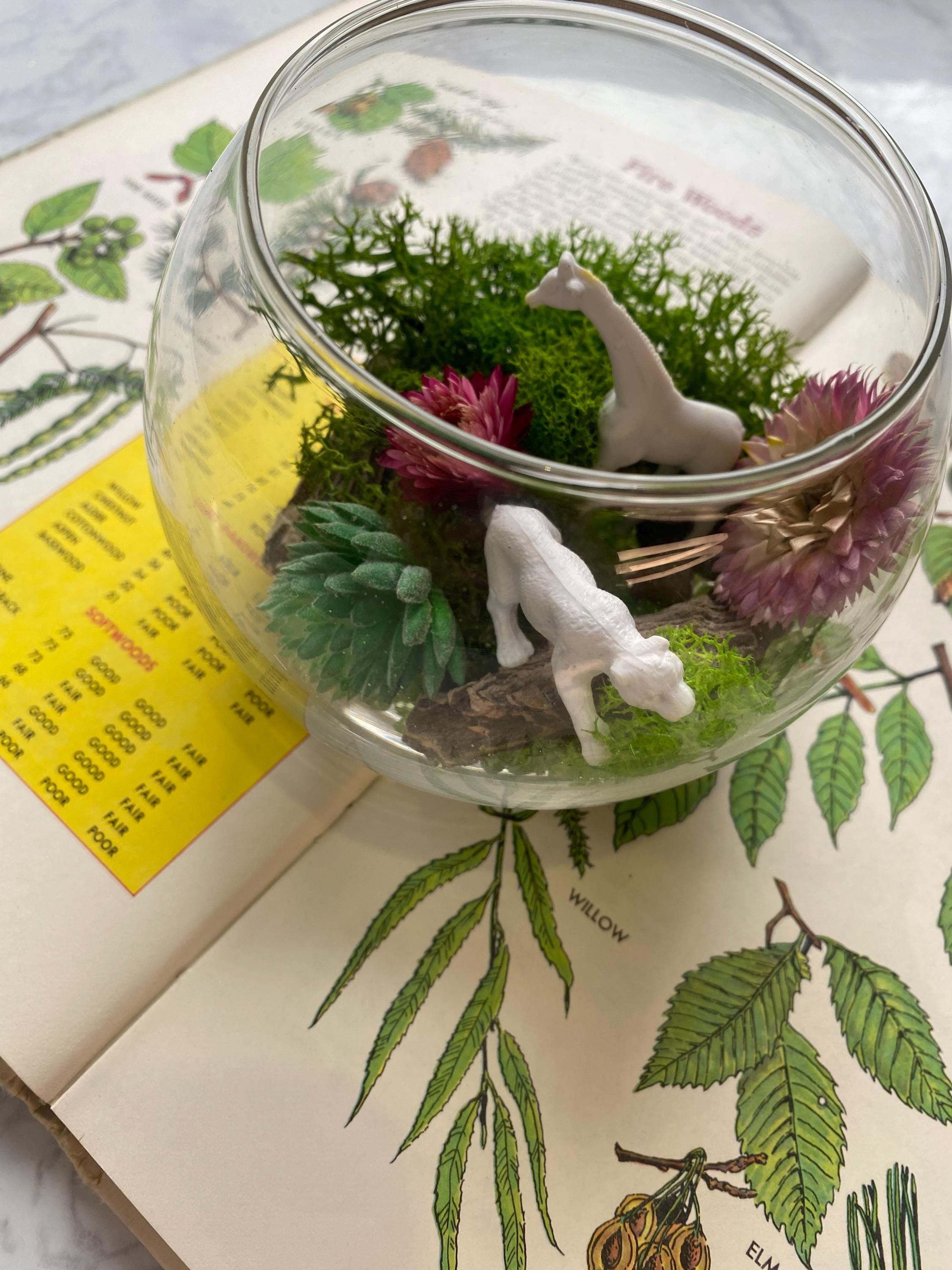 DIY Terrarium Kit for Kids - Fun Educational Craft Activity Christmas ...