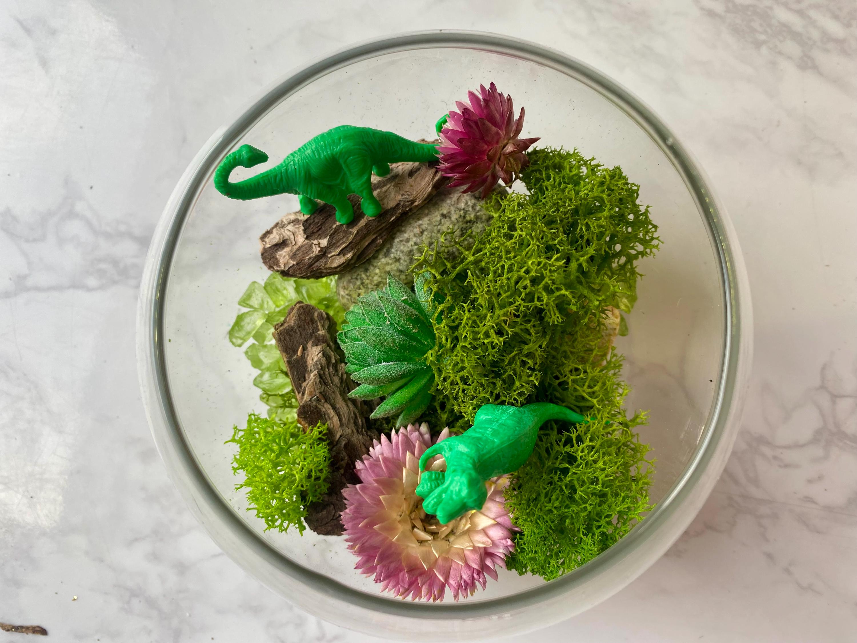 DIY Terrarium Kit for Kids - Fun Educational Craft Activity Christmas ...