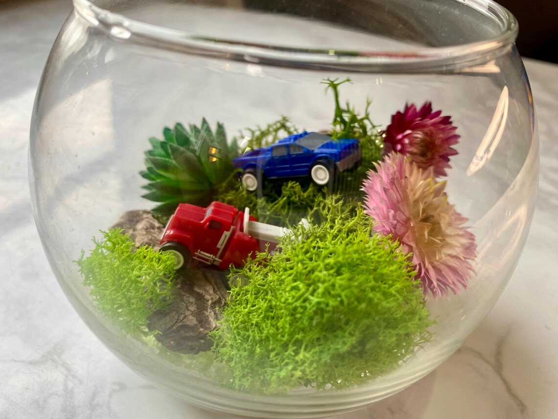 DIY Terrarium Kit for Kids - Fun Educational Craft Activity Christmas ...