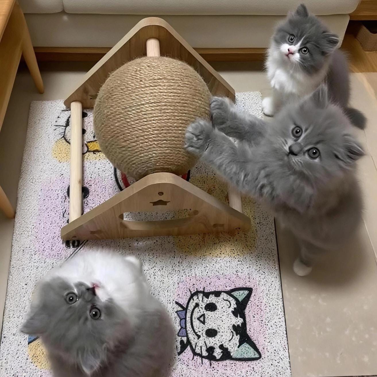 Interactive Rope Cat Scratching Ball Toy, Wooden Base Cat Scratcher ...