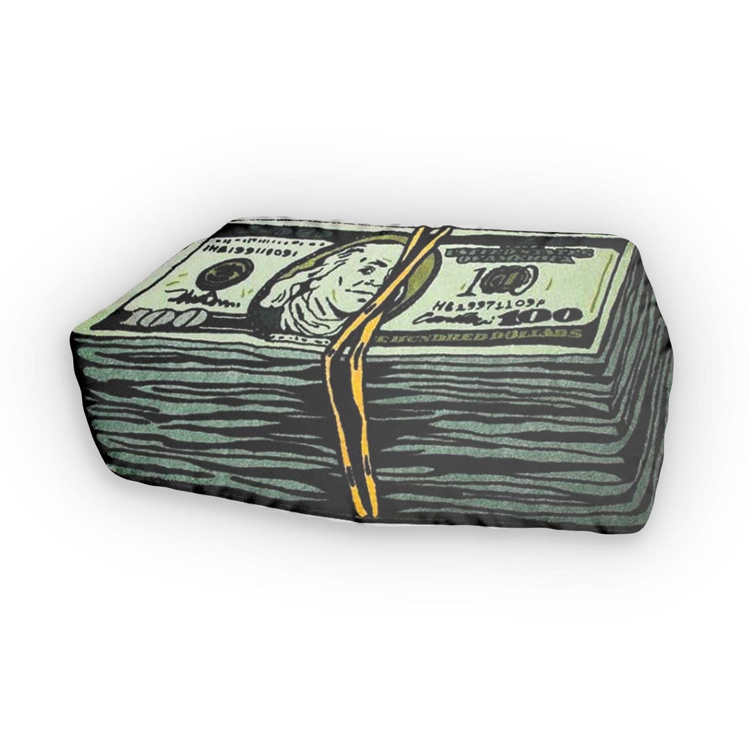 Cozy Luxe Decorative Throw Money Pillow, Money Stack Pillow, Plush ...