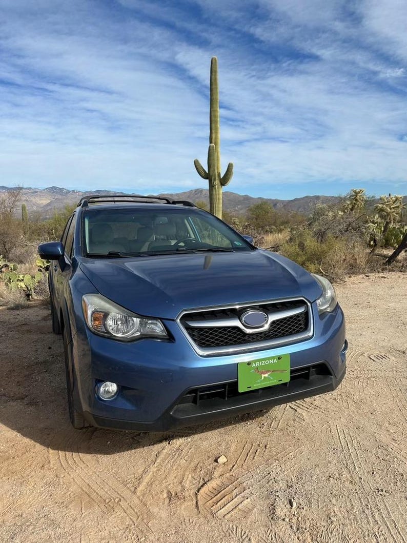 Roadrunner License Plate: Arizona Vanity Plate, Digitally Illustrated ...
