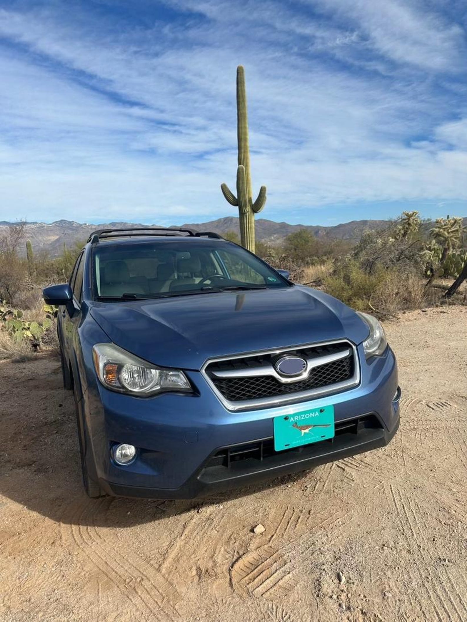 Roadrunner License Plate: Arizona Vanity Plate, Digitally Illustrated ...