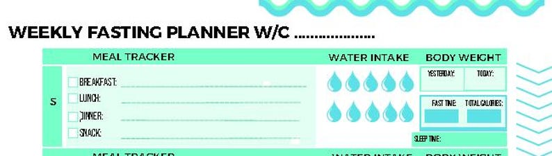 Fasting Log and Meal Planner - Etsy