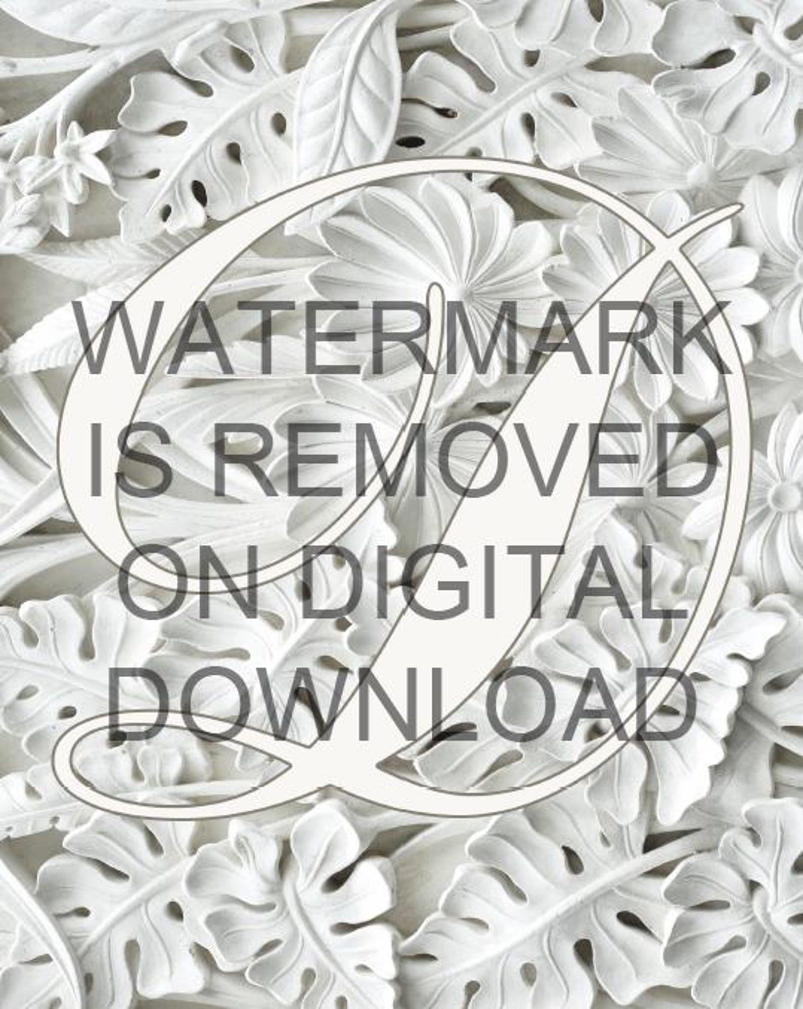 Floral Monogram Letter D, White Cursive Art (digital Download) - Etsy ...