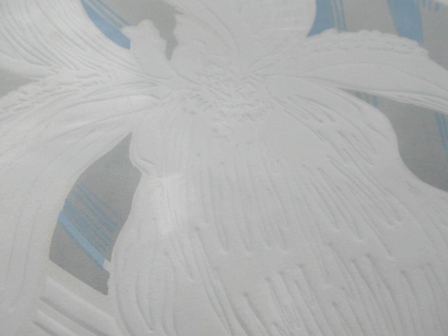 Art Embossed Serigraph Picture DAVID ALLGOOD Coa 1983 Beautiful Iris ...