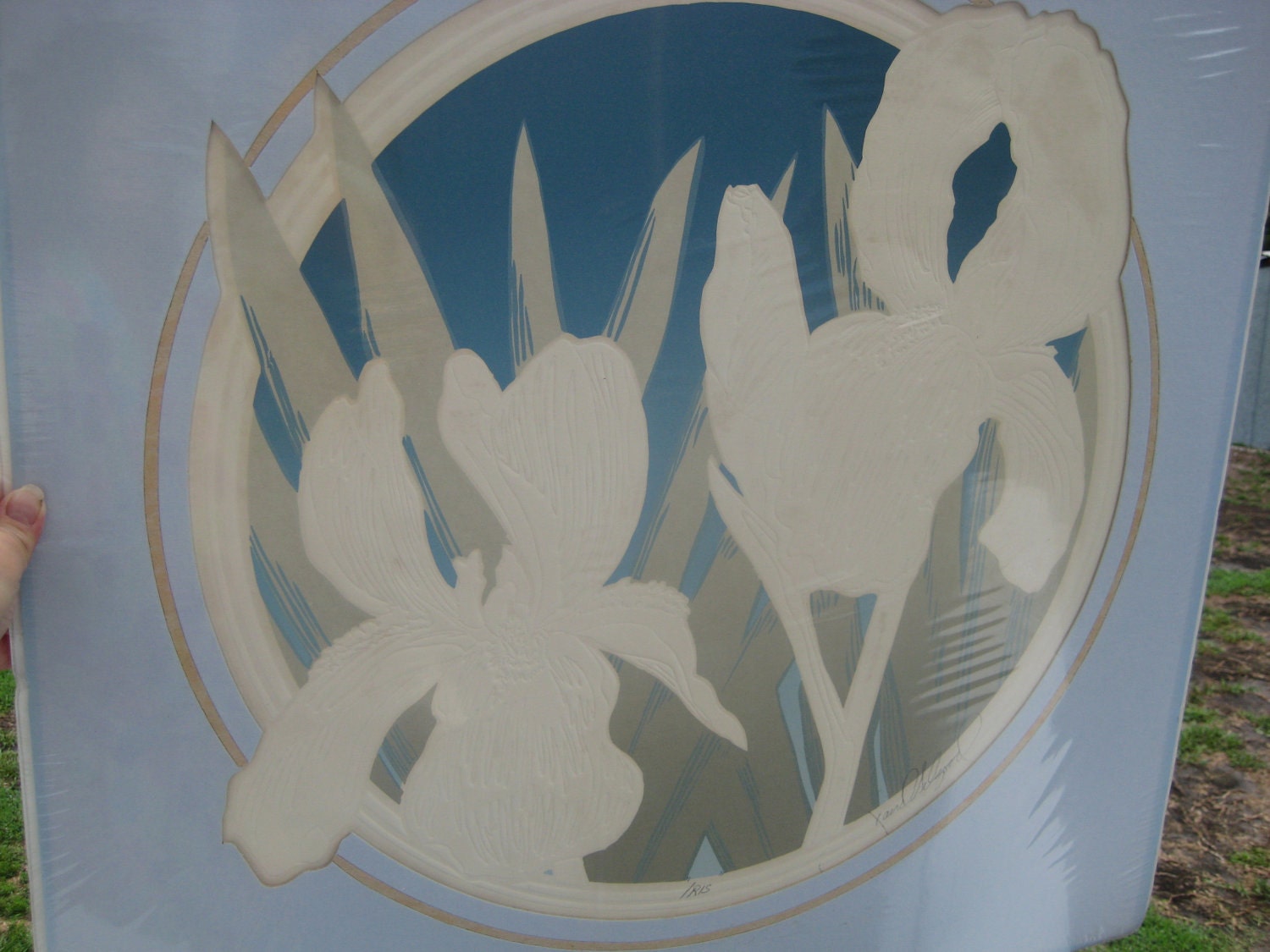 Art Embossed Serigraph Picture DAVID ALLGOOD Coa 1983 Beautiful Iris ...